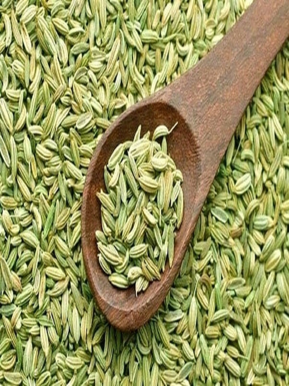 Green Saunf | Fennel Seeds | Premium Fennel Seeds (Sauf) - Farmonics