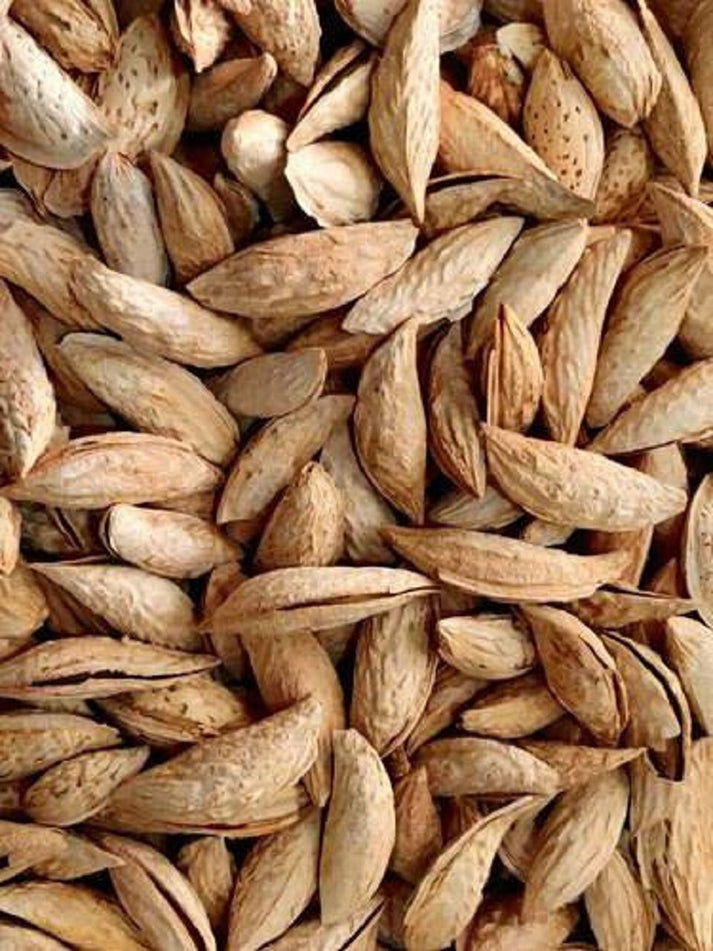 Kagzi Badam | Best quality badam| Discounted price - Farmonics